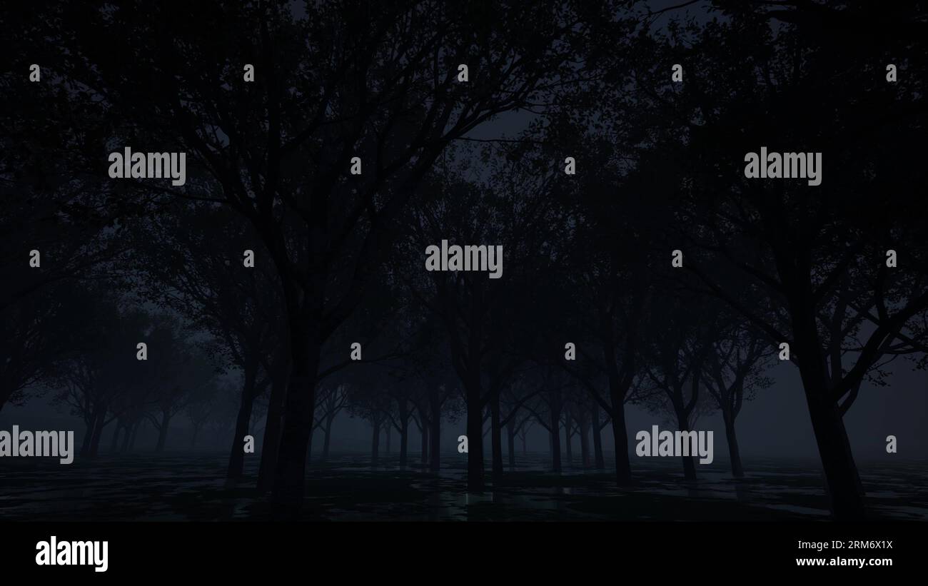 Night forest moonlight beams hi-res stock photography and images - Alamy