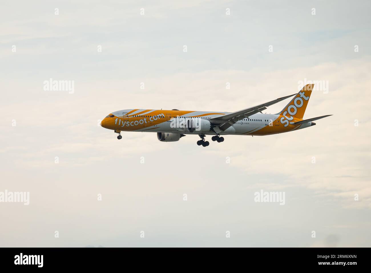 Bangkok, Thailand - August 26, 2023 : Flyscoot Airways prepare for ...