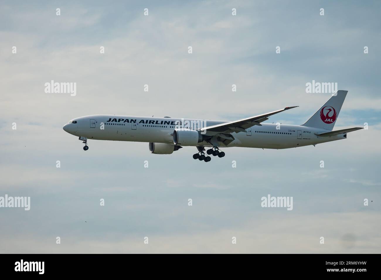 Bangkok, Thailand - August 26, 2023 : JAL Japan Airlines prepare for ...