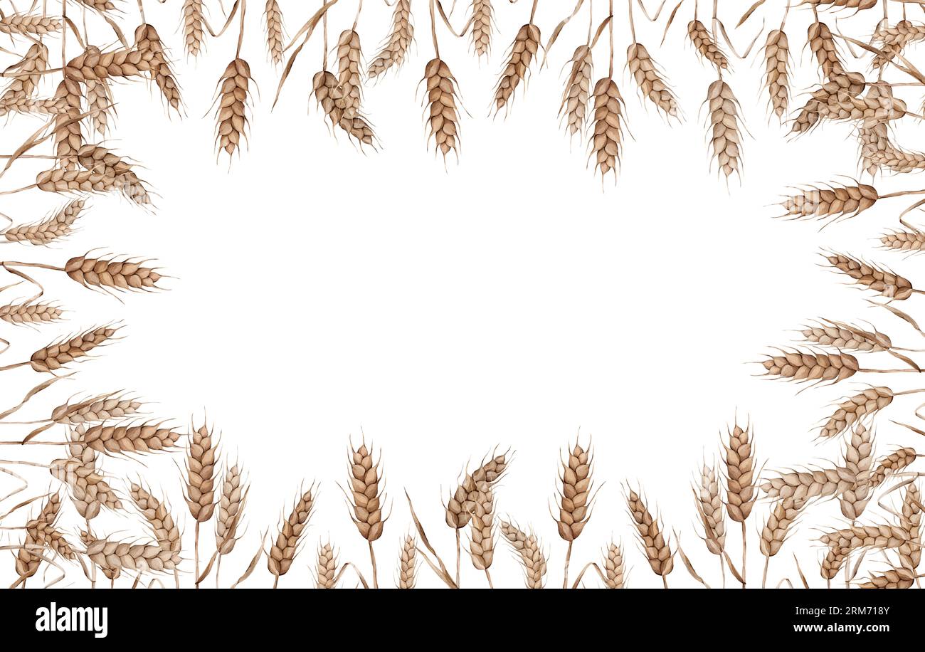 Wheat Graphic Border