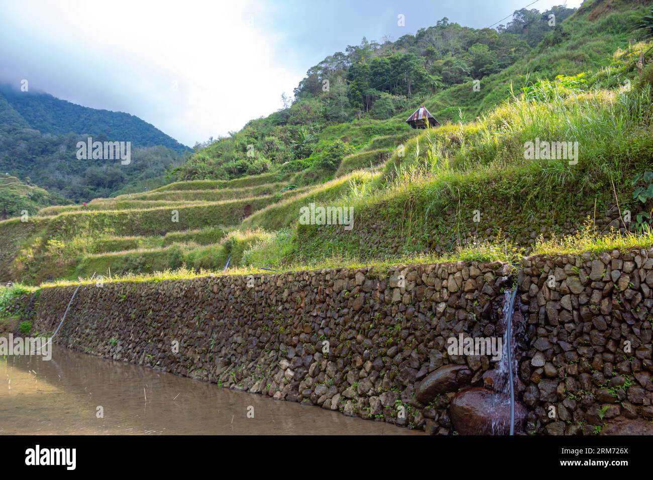 Close up on water going down the UNESCO Rice Terraces in Batad ...