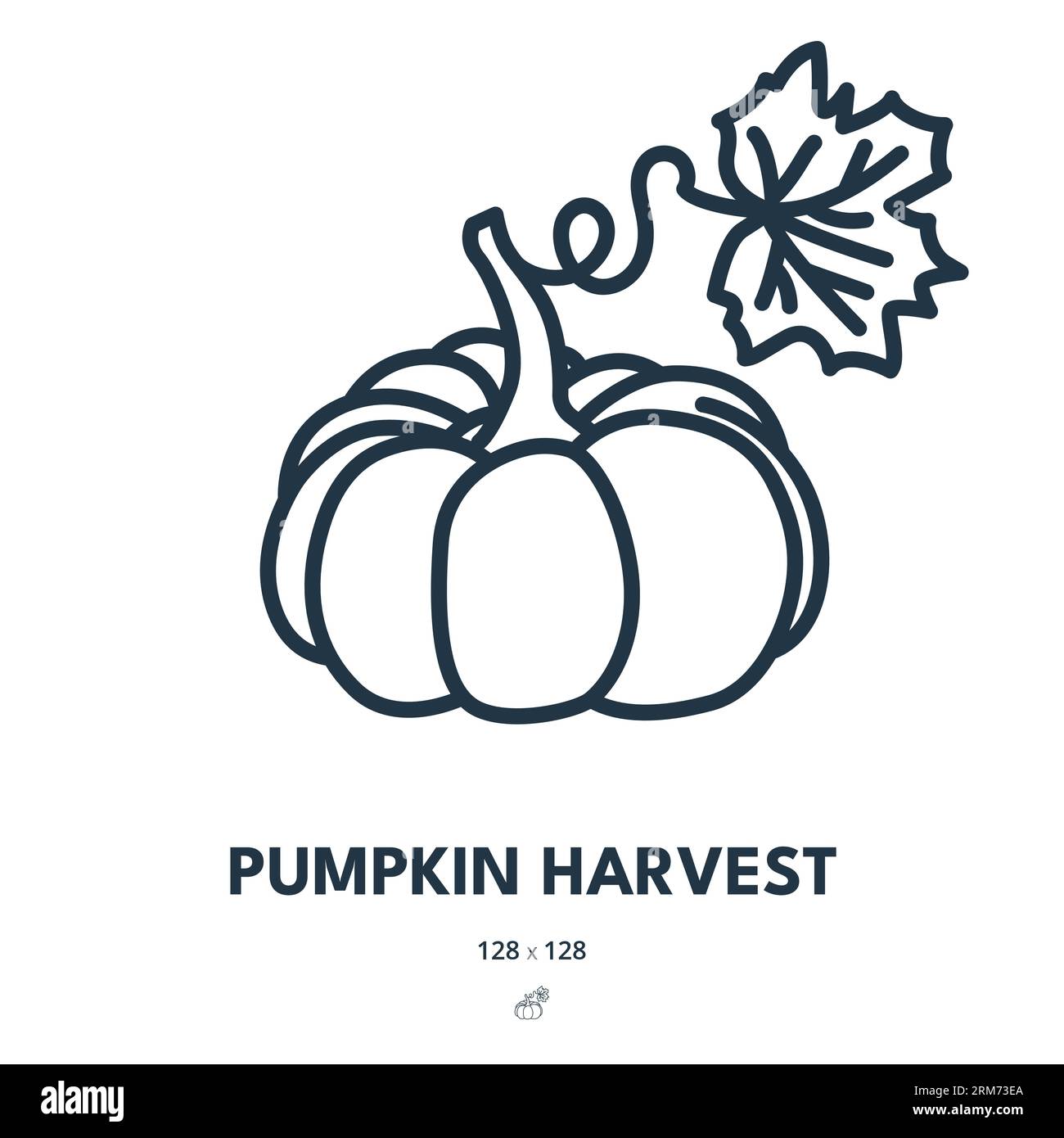 Pumpkin Harvest Icon. Autumn, Harvest, Halloween. Editable Stroke ...