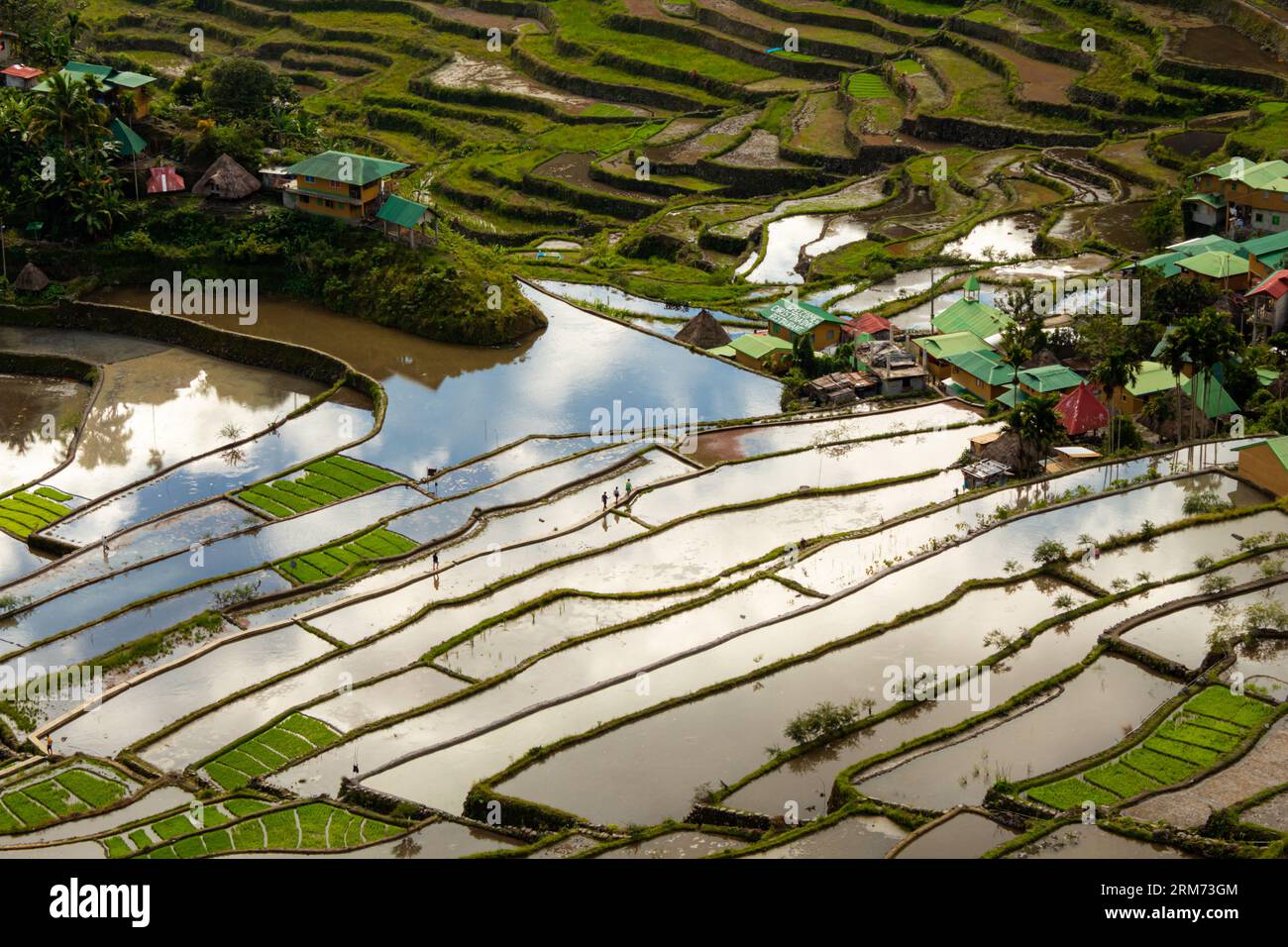 Close up aerial view of the people walking along Ifugao Rice terraces ...
