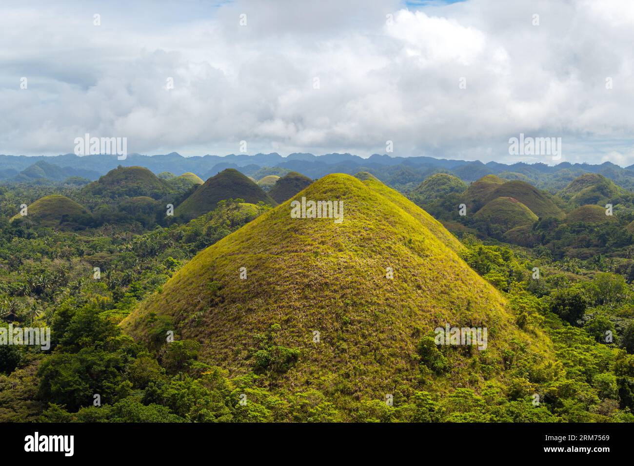 Chocolate Hills in the Bohol island in the Philippines, still covered ...