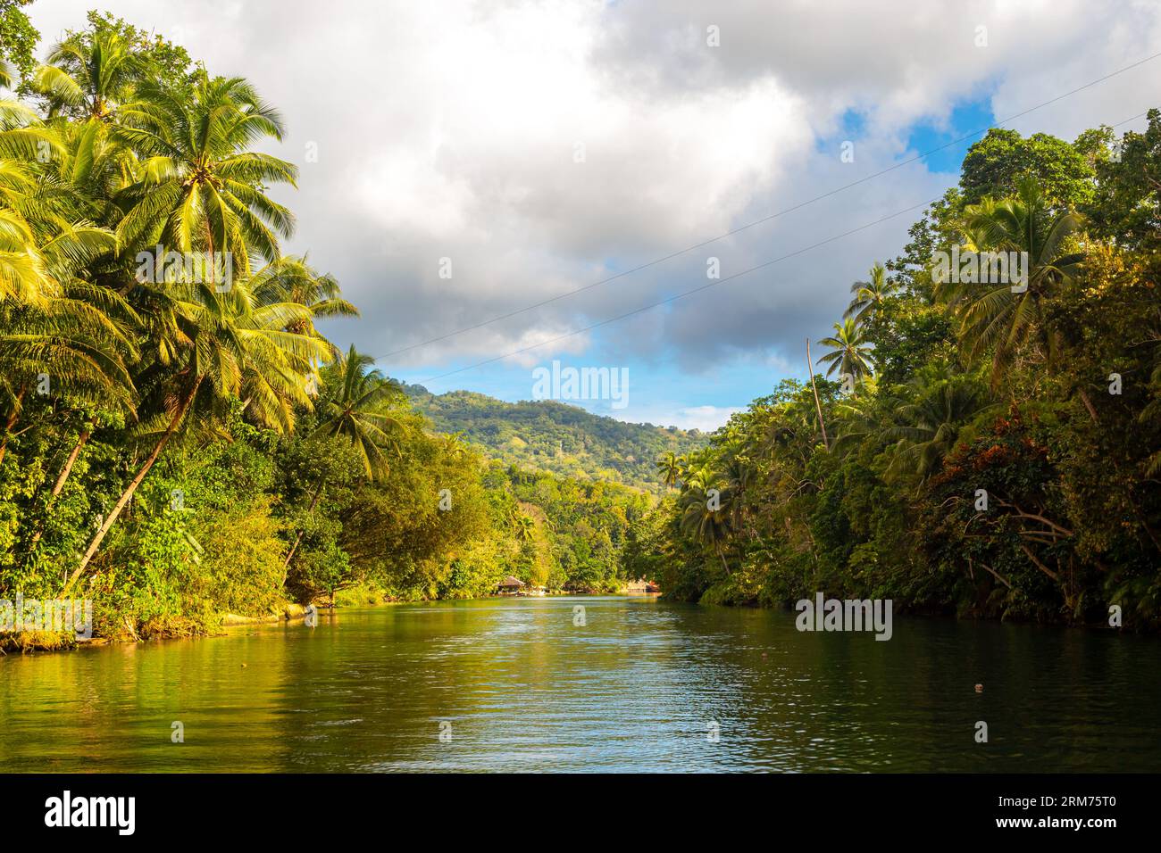 Loboc River at Bohol, Philippines, Scenery background, river thhrough ...