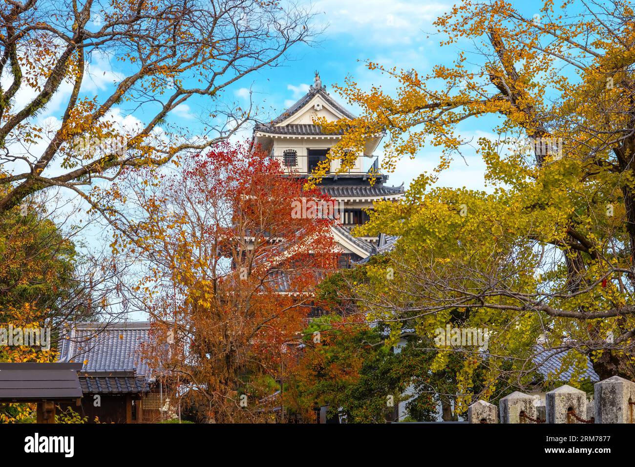 Nakatsu, Japan - Nov 26 2022: Nakatsu Castle known as one of the three ...