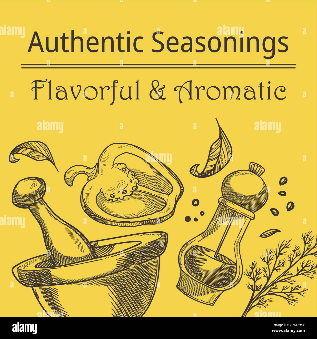 Authentic seasoning, flavorful and aromatic blend Stock Vector Image ...