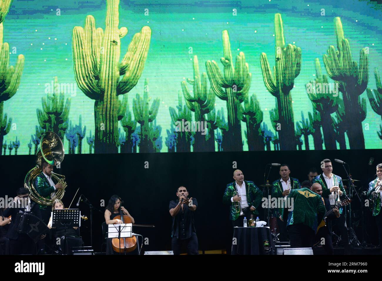 El mushasho tour hi-res stock photography and images - Alamy