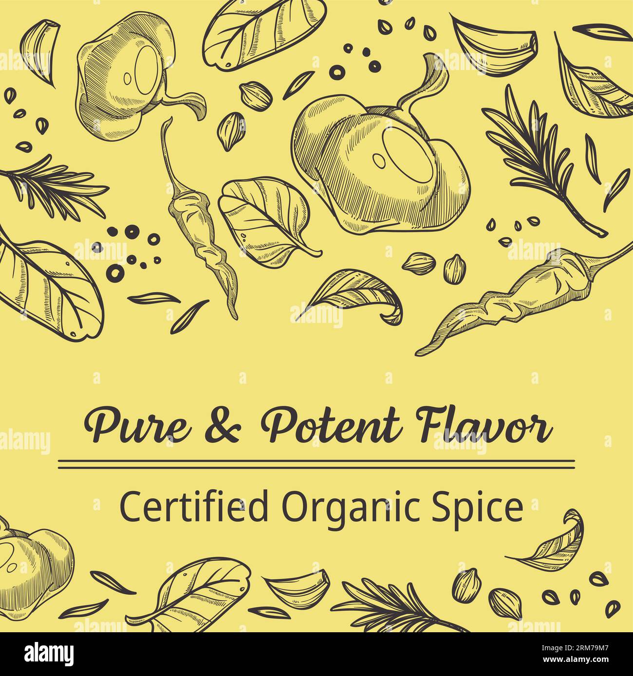 Ground cardamom Stock Vector Images - Alamy