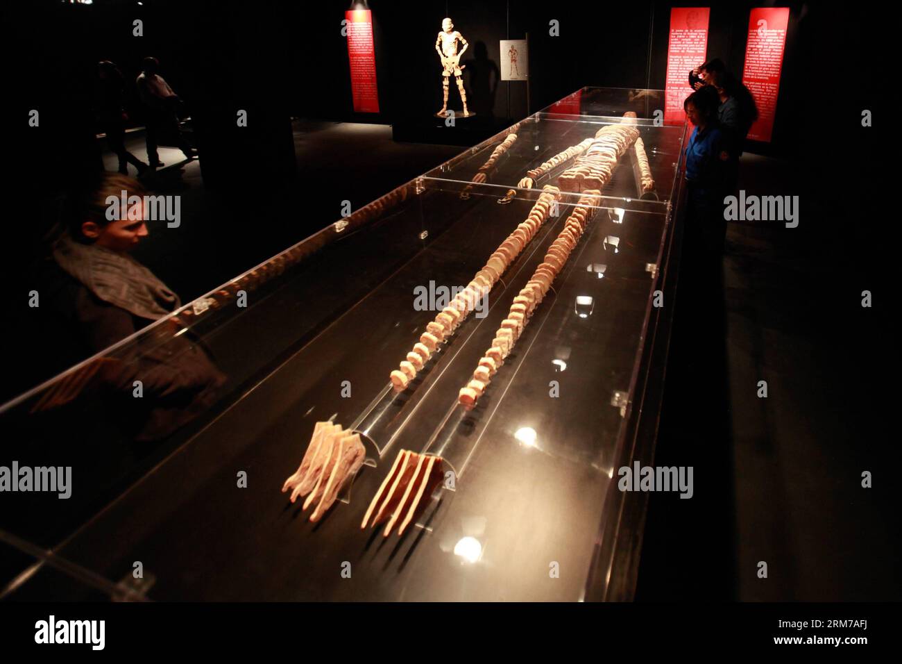 BOGOTA, Visitors looks at parts of a human body sample during the ...