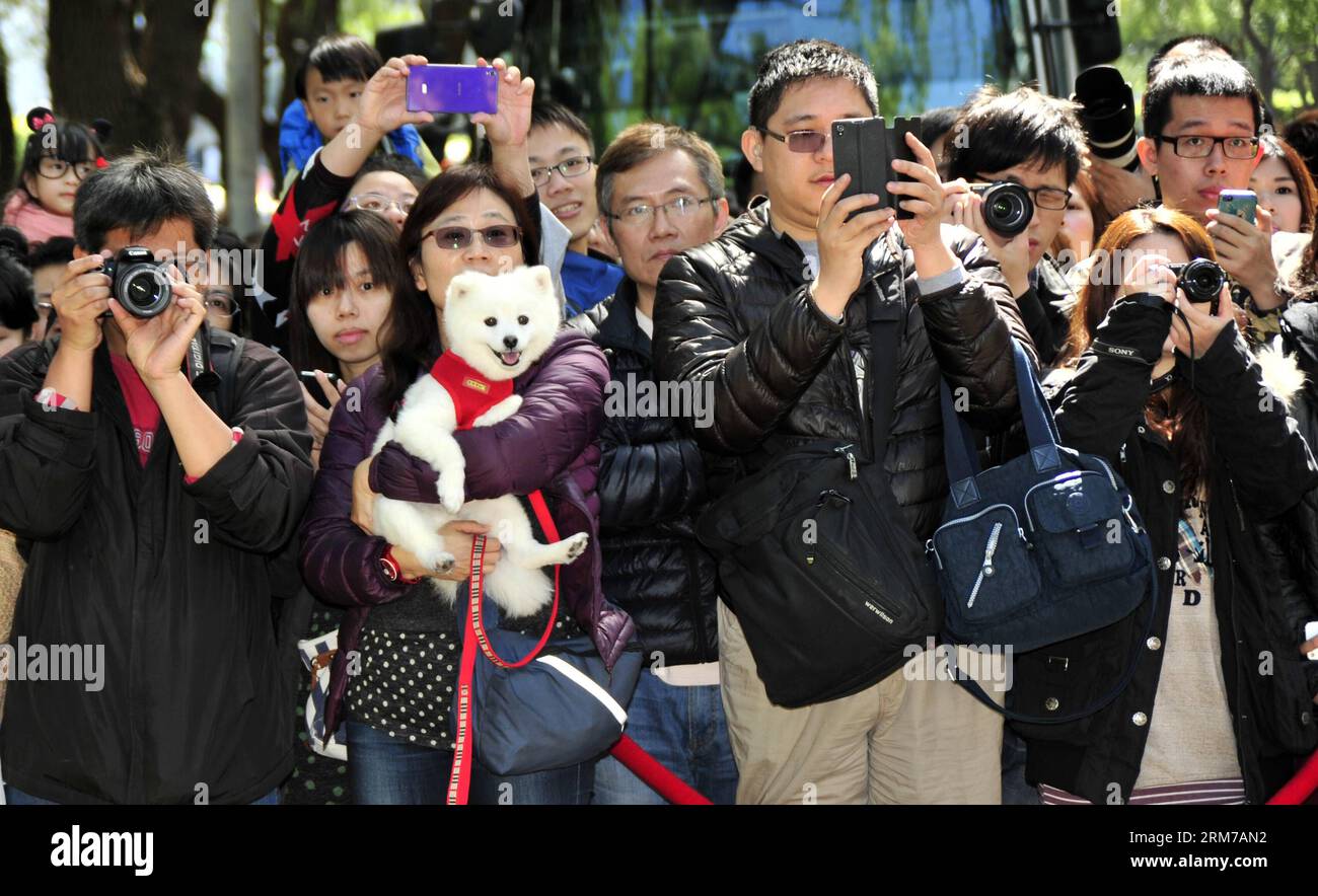 Pandasdisplayed hi-res stock photography and images - Alamy