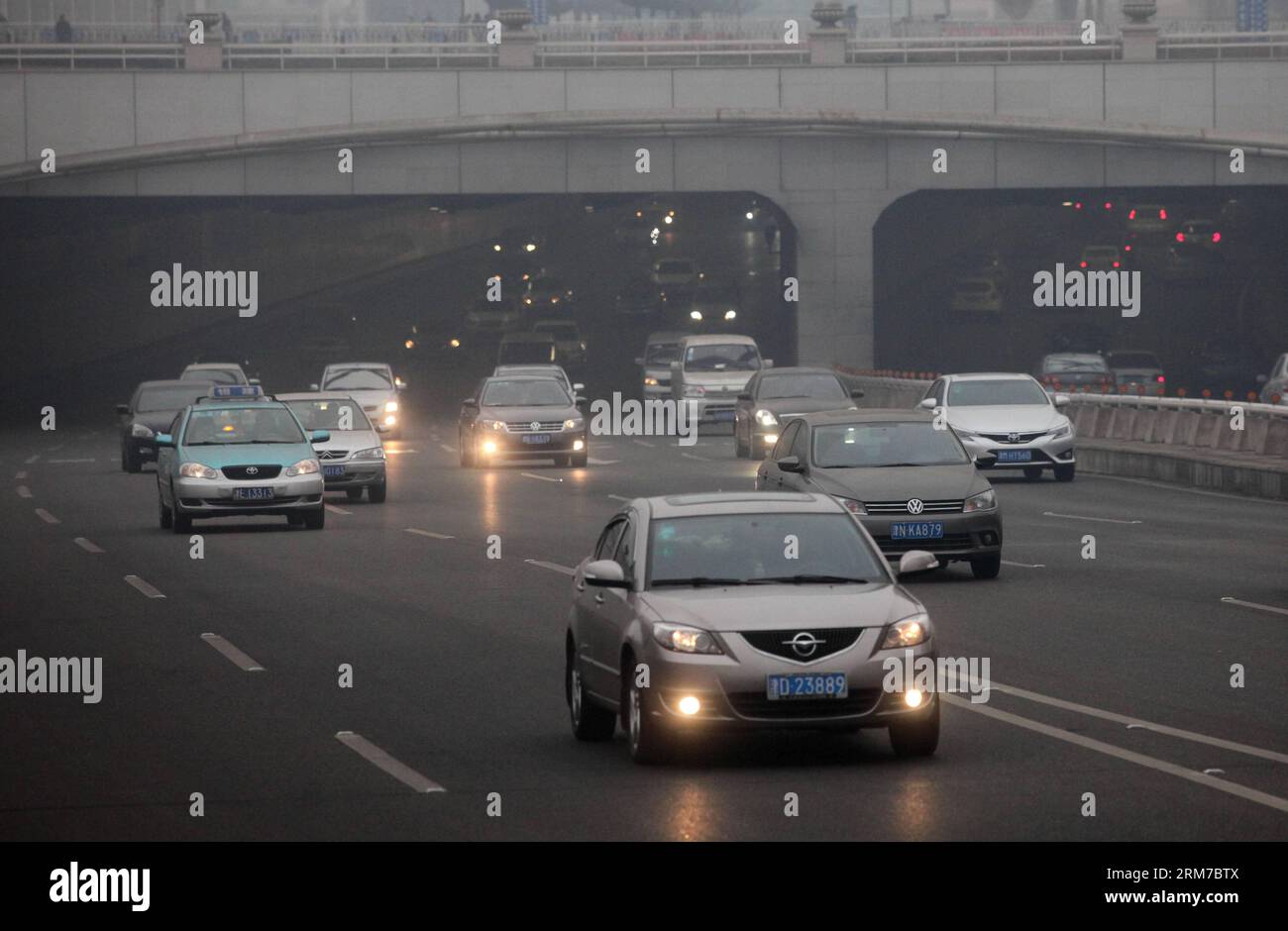 Lice serious hi-res stock photography and images - Alamy