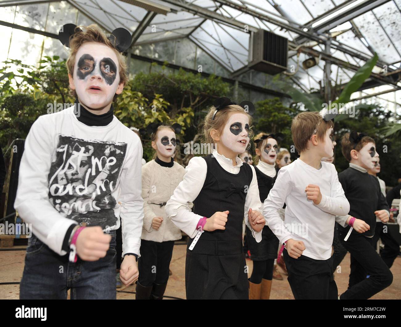 Pandapar hi-res stock photography and images - Alamy