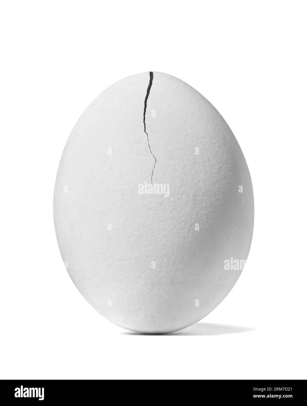 egg shell food white breakfast ingredient fragile protein half chicken ...