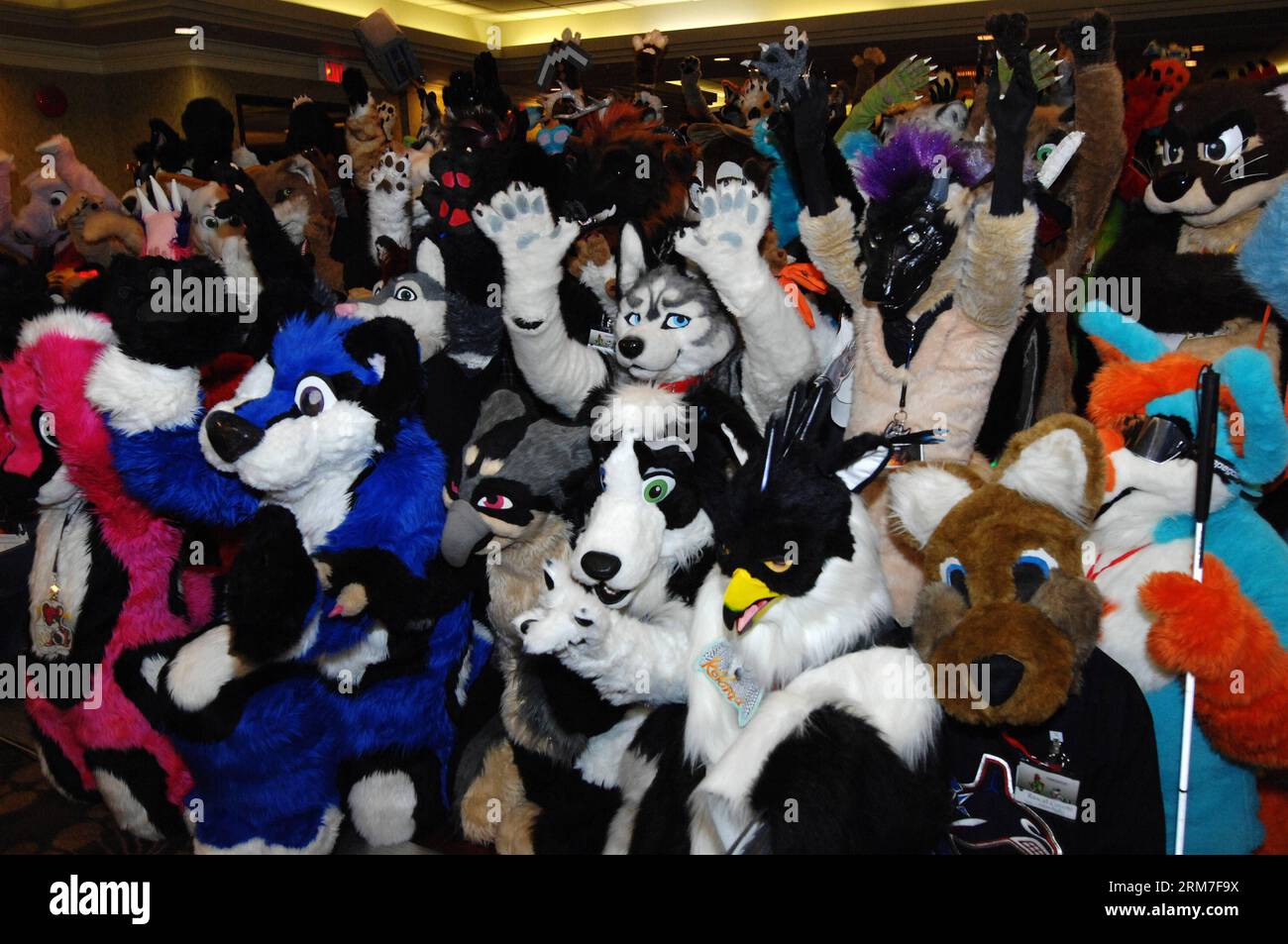 Thefurry hi-res stock photography and images - Alamy