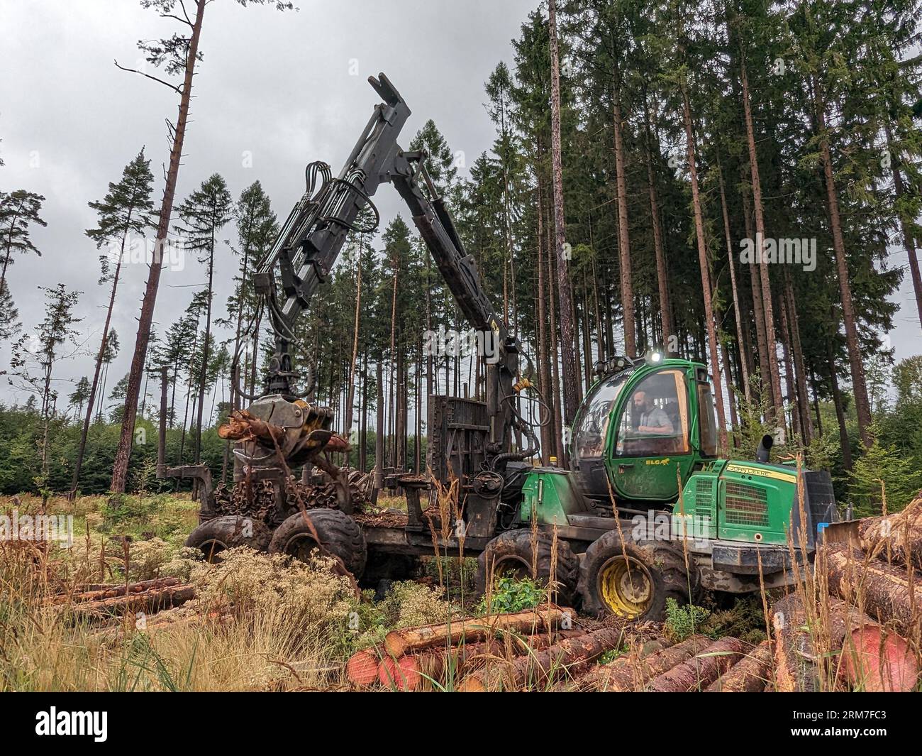 The harvester is working in the forest. Wood harvesting. Wood as a ...