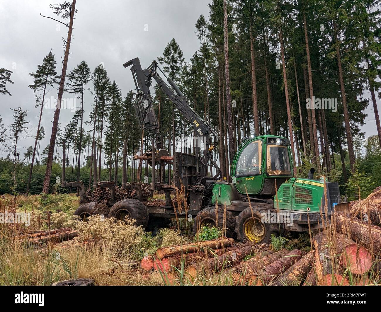 The harvester is working in the forest. Wood harvesting. Wood as a ...