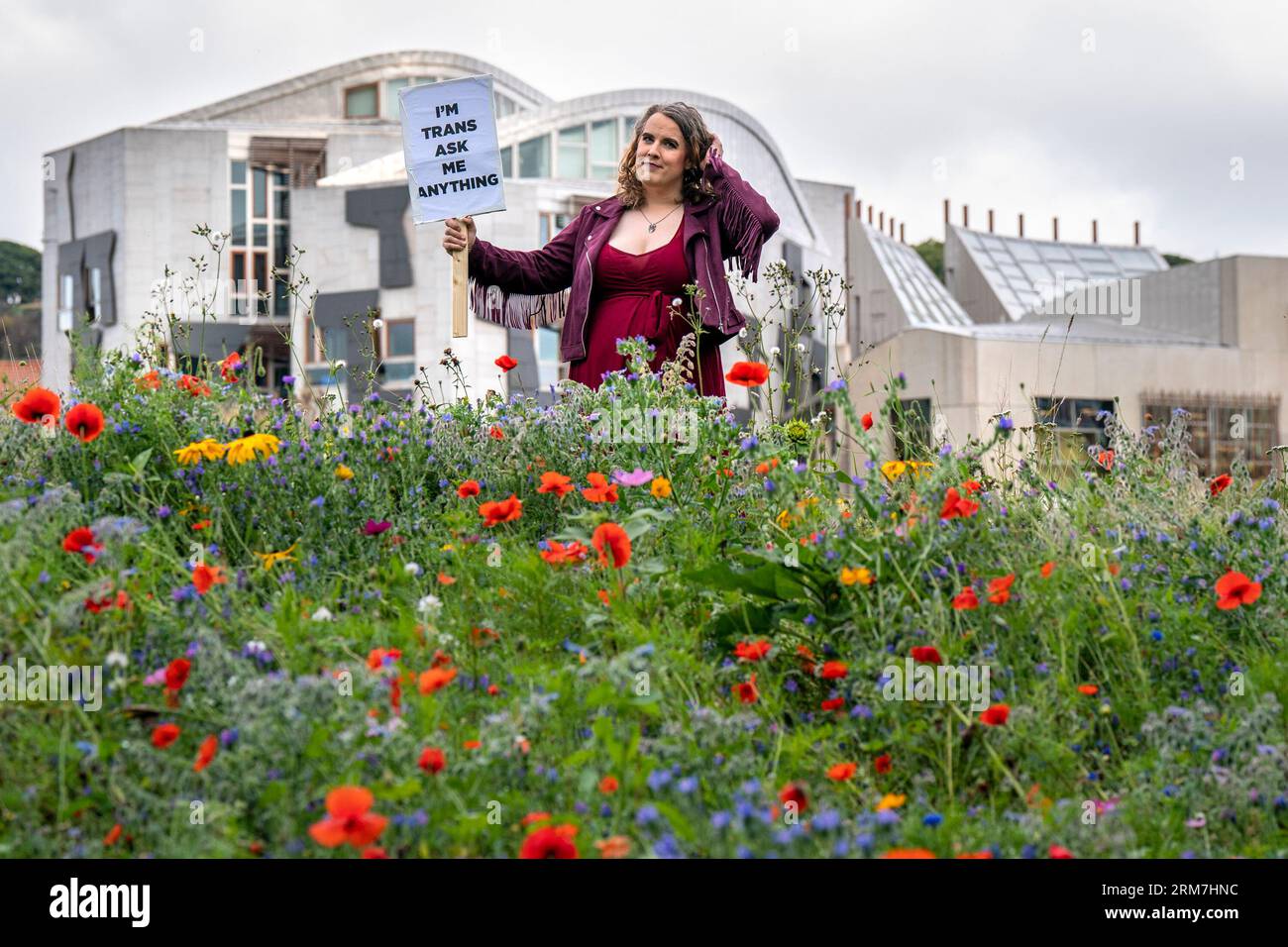 Scott linehan hi-res stock photography and images - Alamy