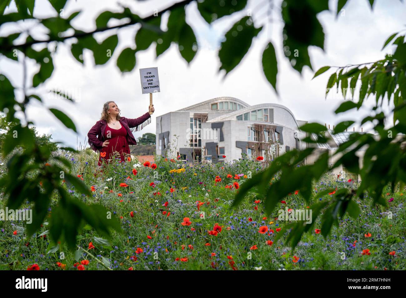 Scott linehan hi-res stock photography and images - Alamy