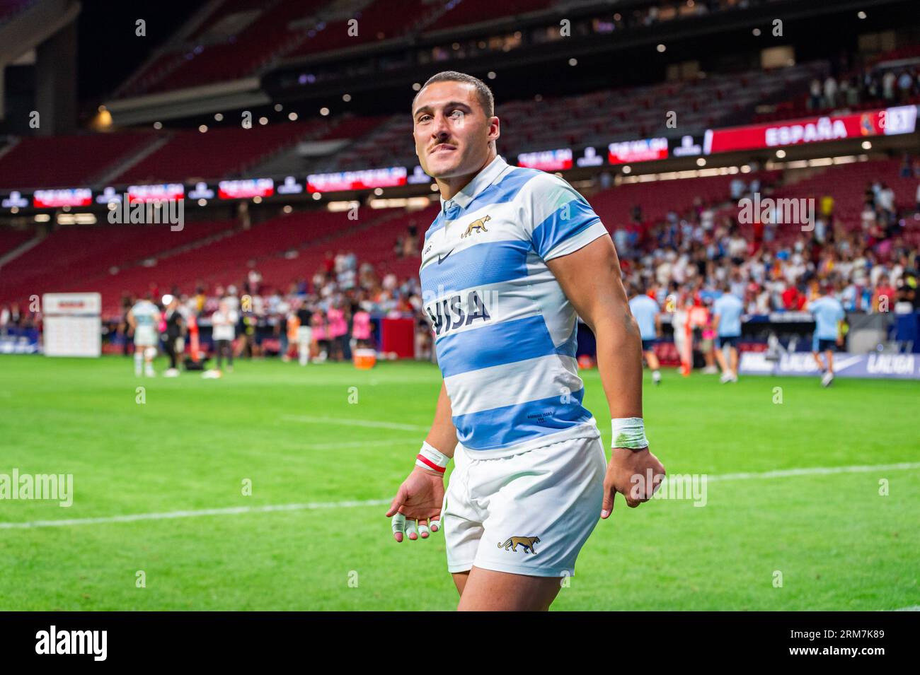Los pumas rugby hi-res stock photography and images - Alamy