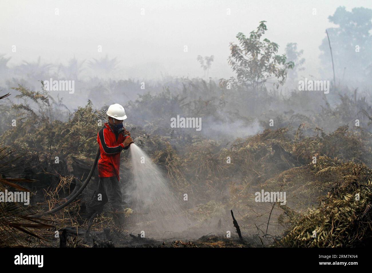 Indonesia forest fire fighter hi-res stock photography and images - Alamy