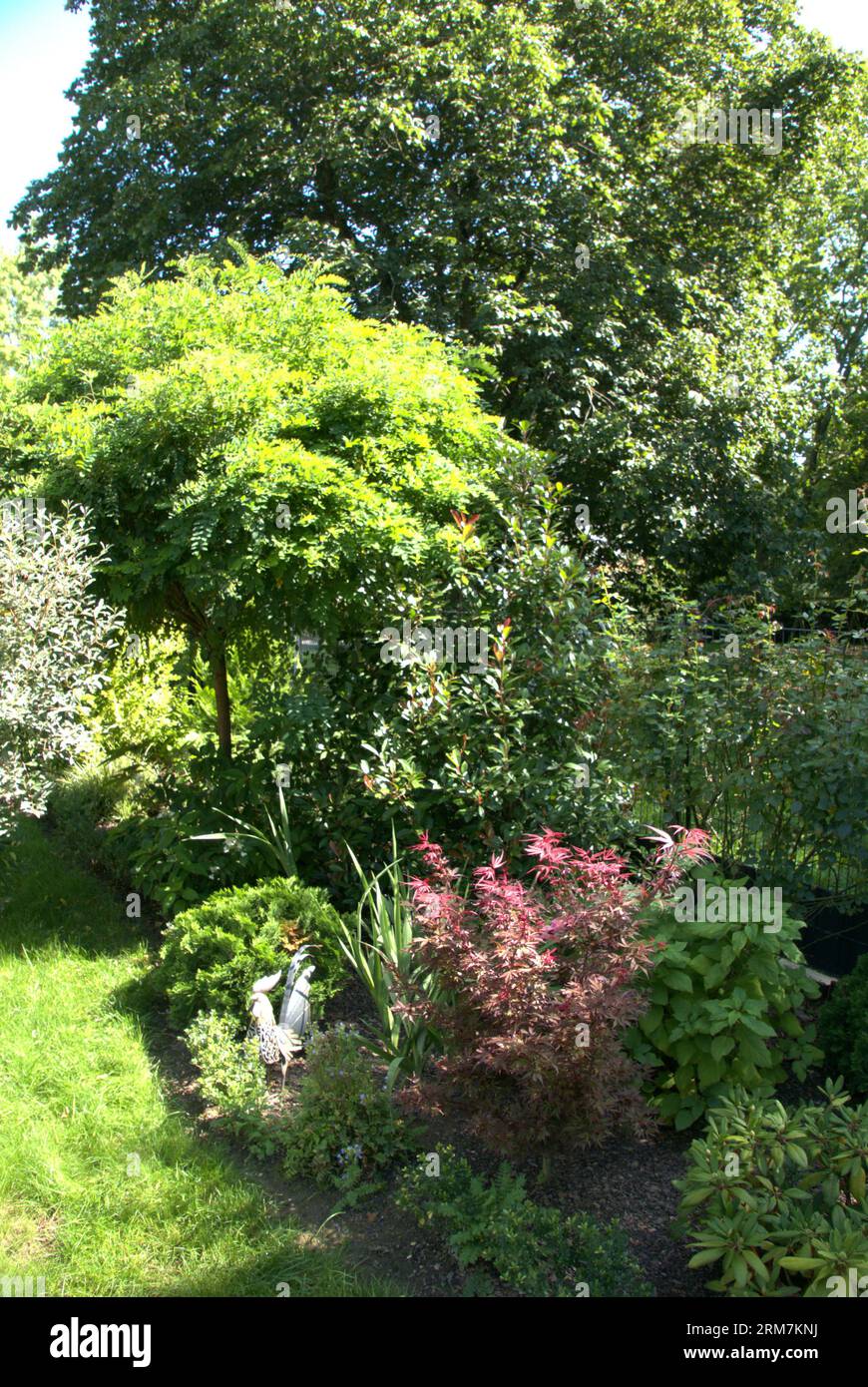 Idyll hi-res stock photography and images - Alamy