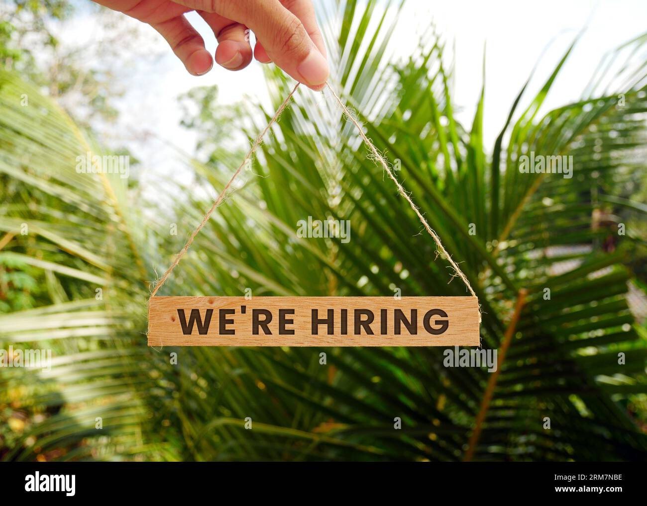 We Are Hiring, the phrase written on a wooden block, against a fresh ...