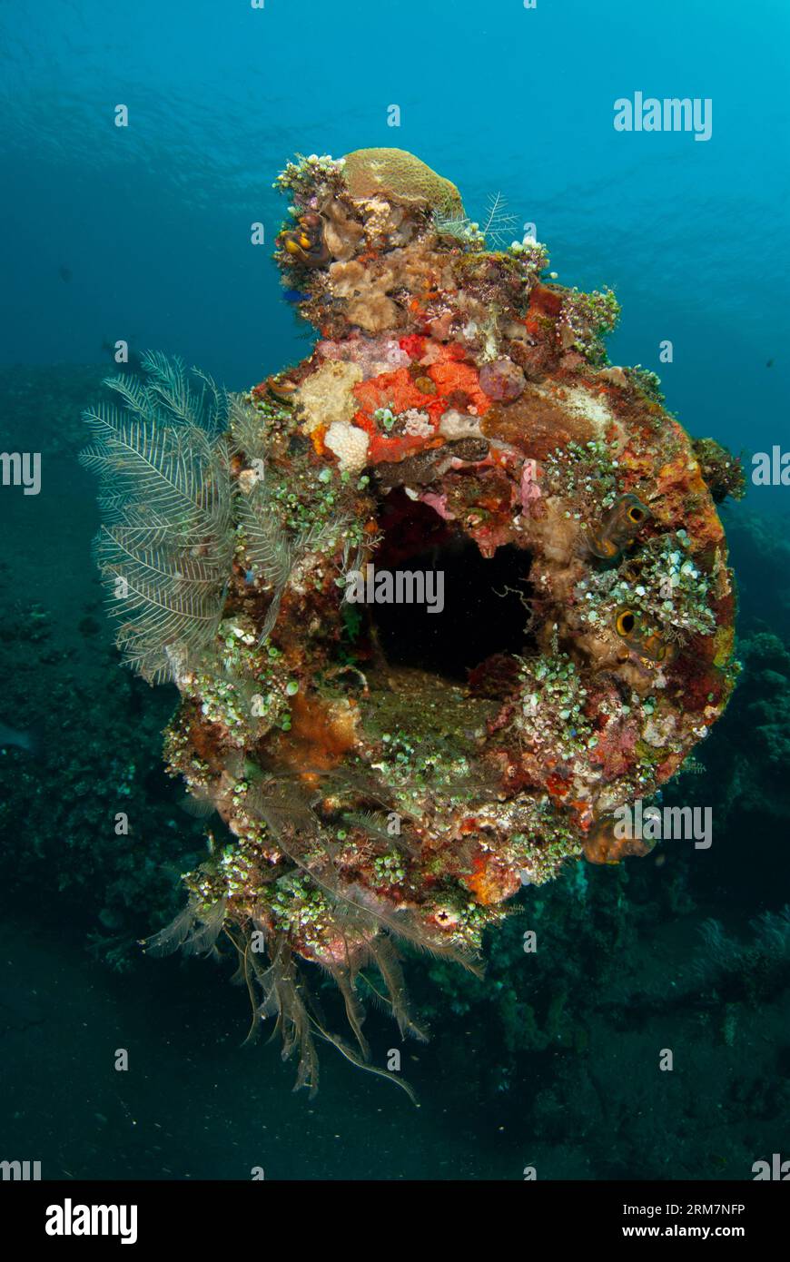 Liberty bore hi-res stock photography and images - Alamy