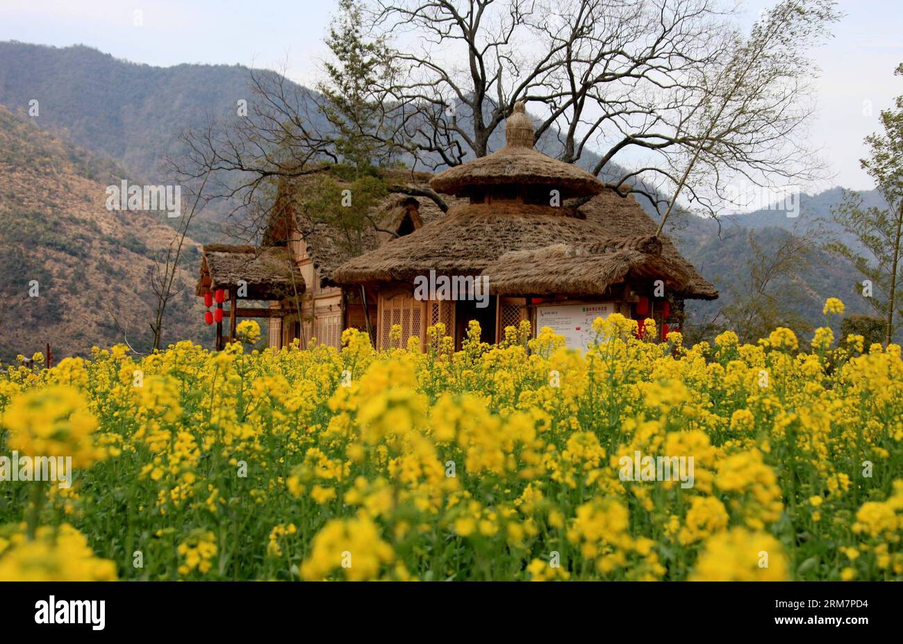 Jiangwan town hi-res stock photography and images - Alamy