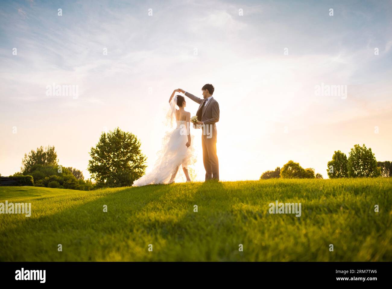 Happy bride and groom dancing on the grass Stock Photo - Alamy