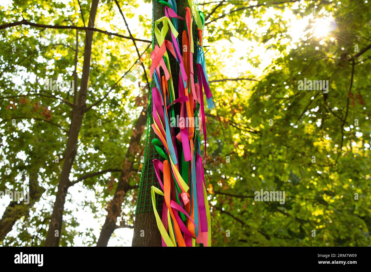 Multi-colored ribbons as a background are tied to a tree in parks in ...