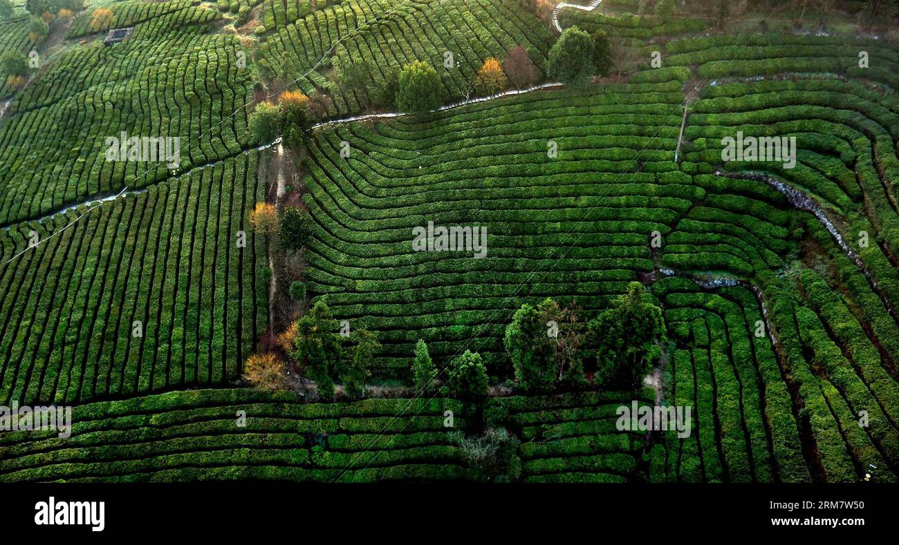 Newresidenc hi-res stock photography and images - Alamy