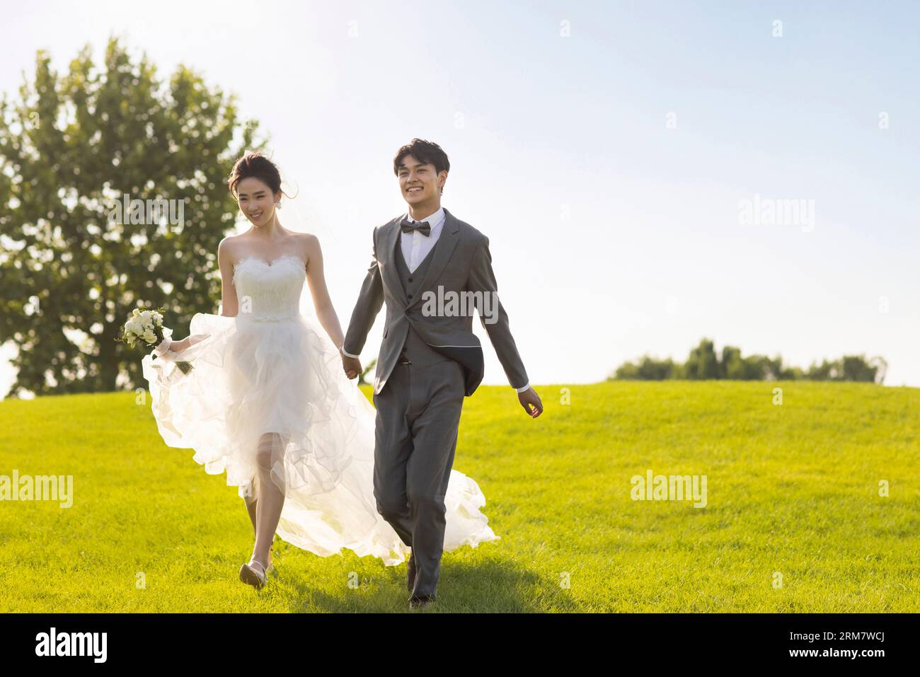 Happy bride and groom running on the grass Stock Photo - Alamy