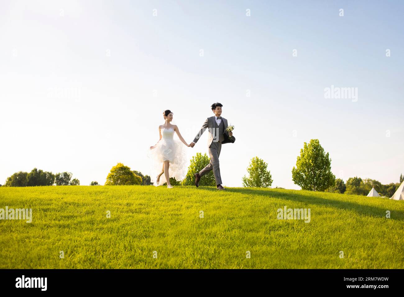 Happy bride and groom running on the grass Stock Photo - Alamy