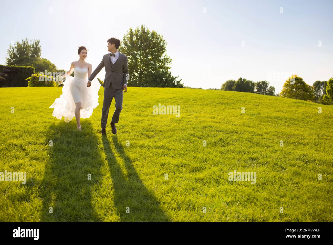 Happy bride and groom running on the grass Stock Photo - Alamy