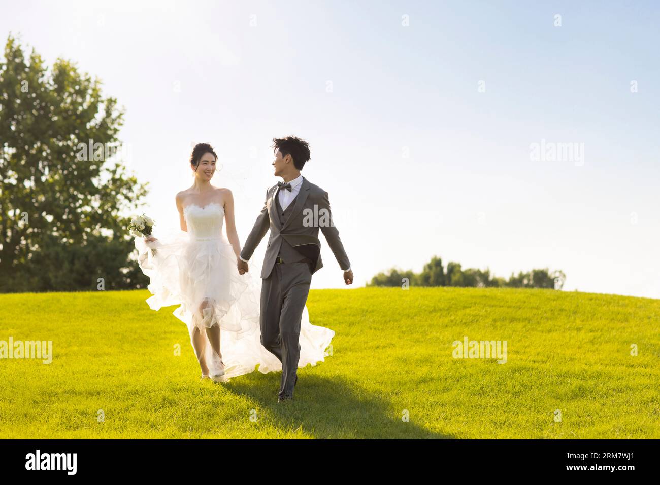 Happy bride and groom running on the grass Stock Photo - Alamy