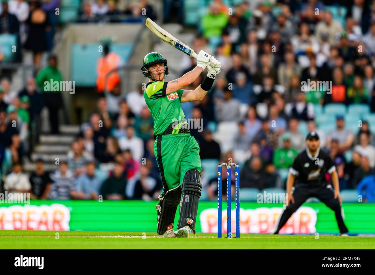 Finn allen cricket hi-res stock photography and images - Alamy