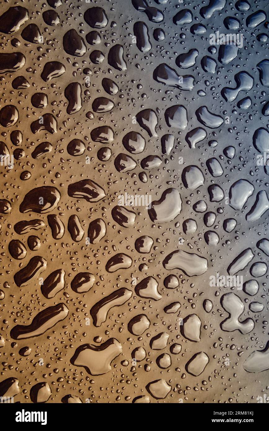 Water Droplet - Abstract water drops on waterproof fabric Stock Photo ...