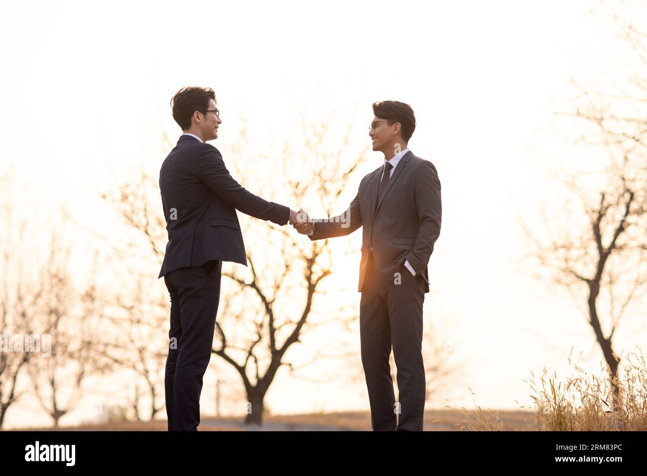 Standing shaking hands looking away smiling greeting hi-res stock ...