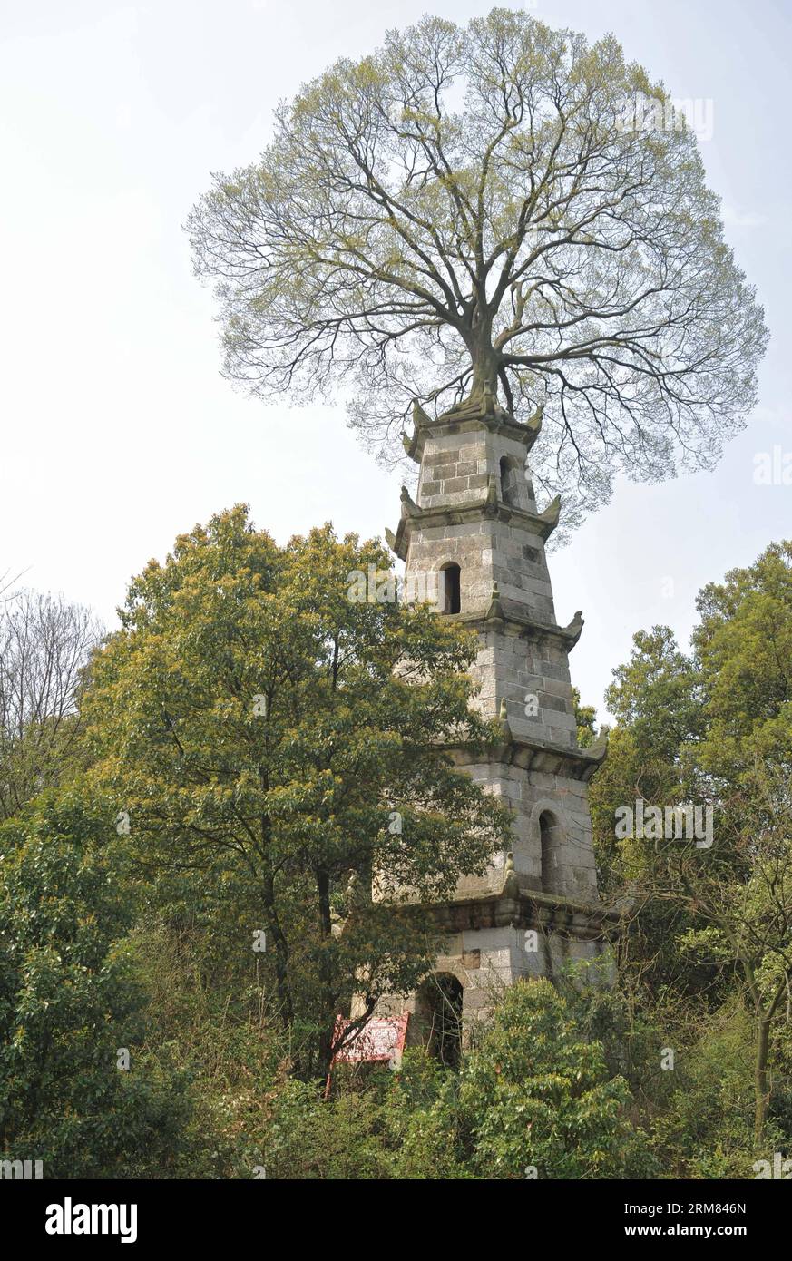(140327) -- CHANGSHA, March 26, 2014(Xinhua) -- Photo taken on March 26 ...
