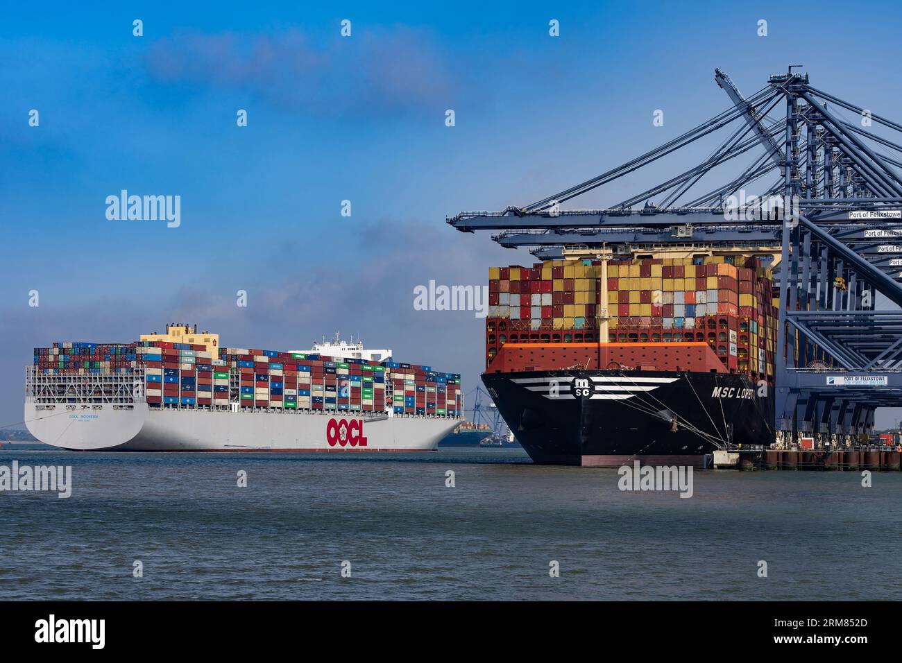 The container ships OOCL Indonesia and MSC Loreto in Port of Felixstowe ...