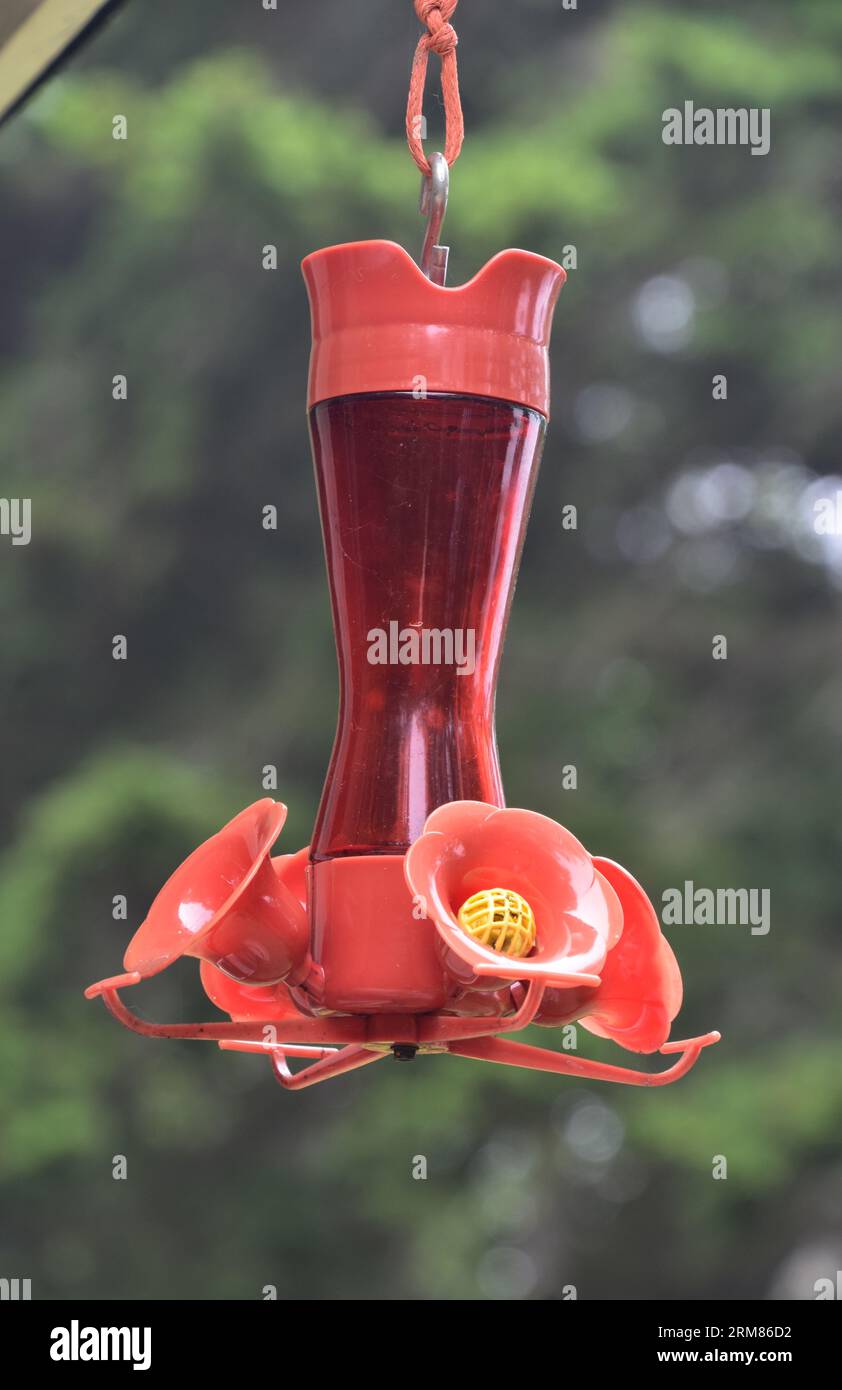 Red hummingbird feeder waiting for the hummingbirds to come for a sip ...