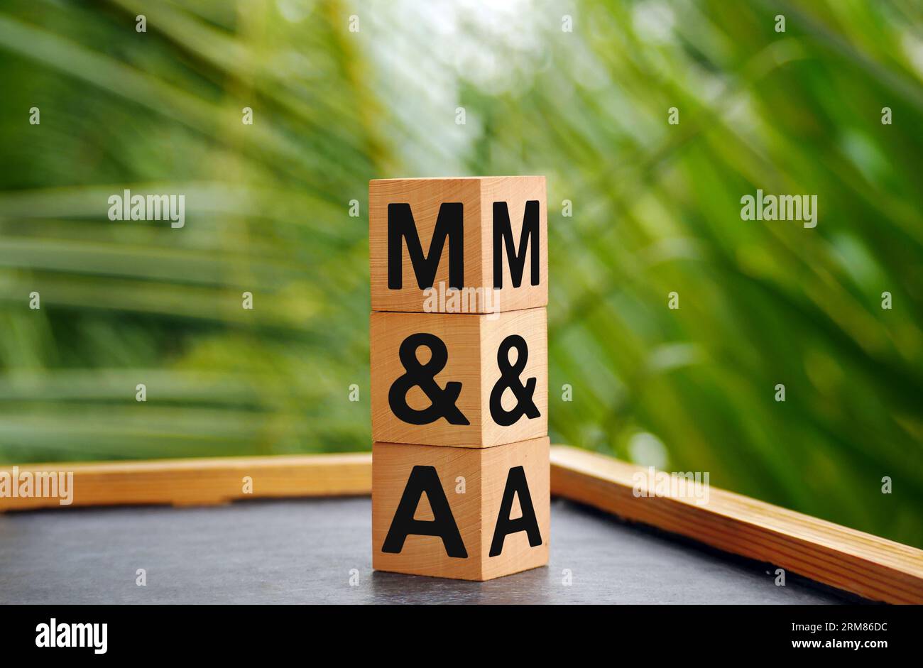 The letters M and S written on wood cubes. bokeh nature background. M ...
