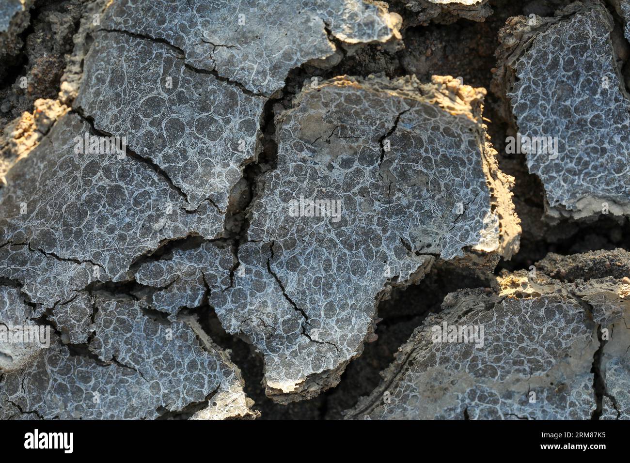A cracked mud surface in shades of black and grey, with the mud split ...
