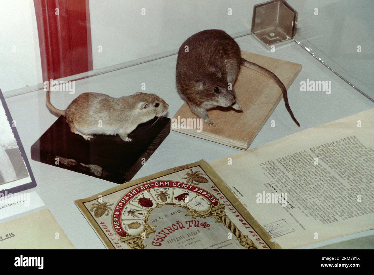 Exhibits from the exhibition "Biological Protection" in the Museum of ...