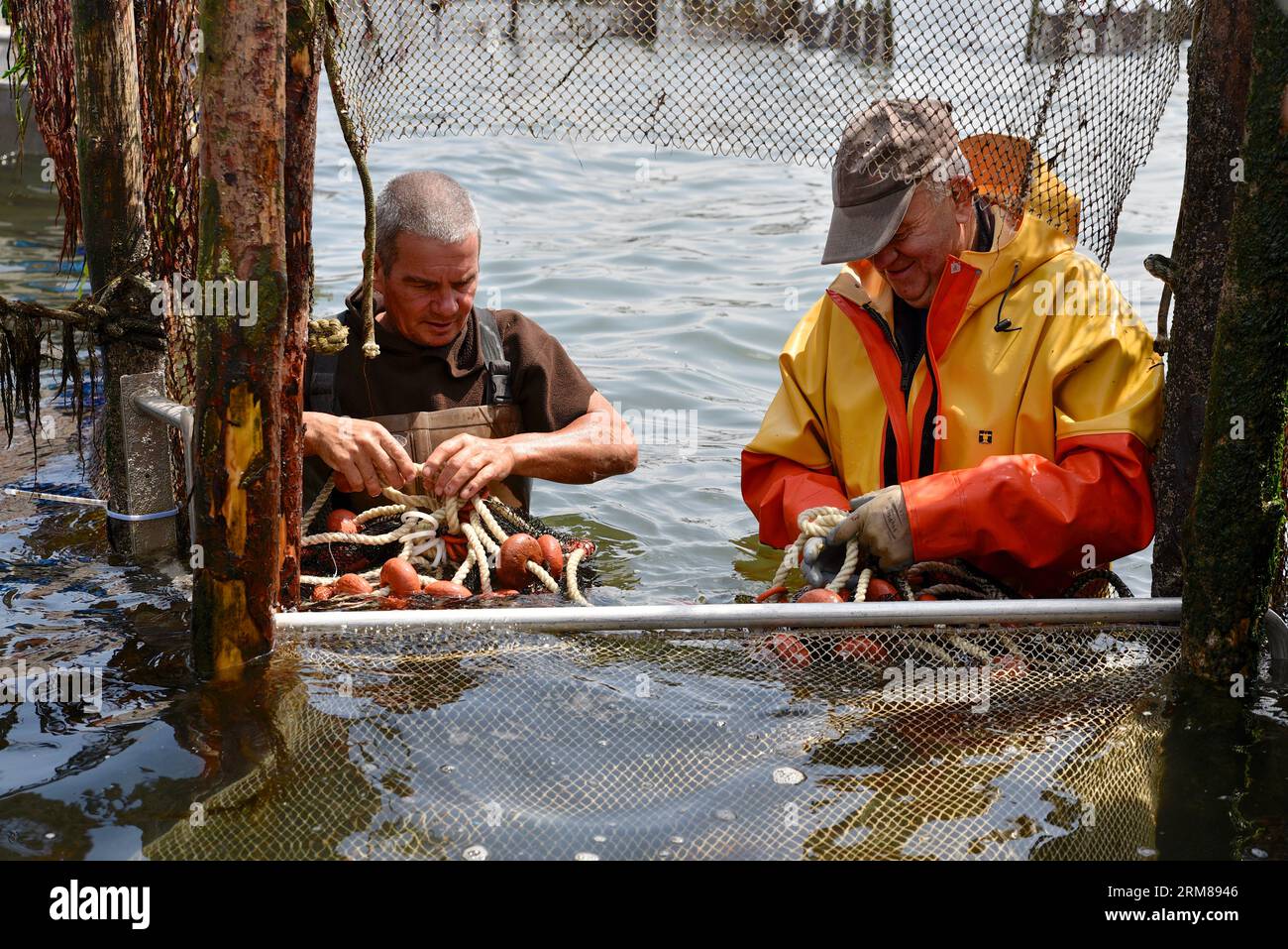 Fishermen in waders stand in water up to their waists to catch ...