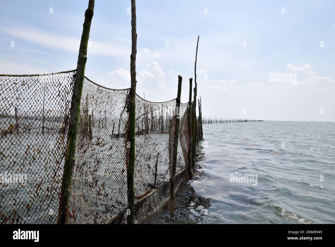 Catch method hi-res stock photography and images - Alamy