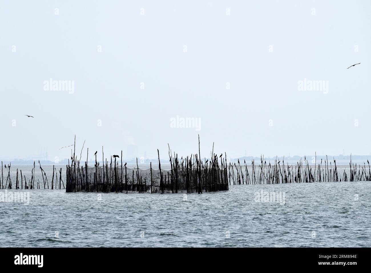 Weir fishing method hi-res stock photography and images - Alamy