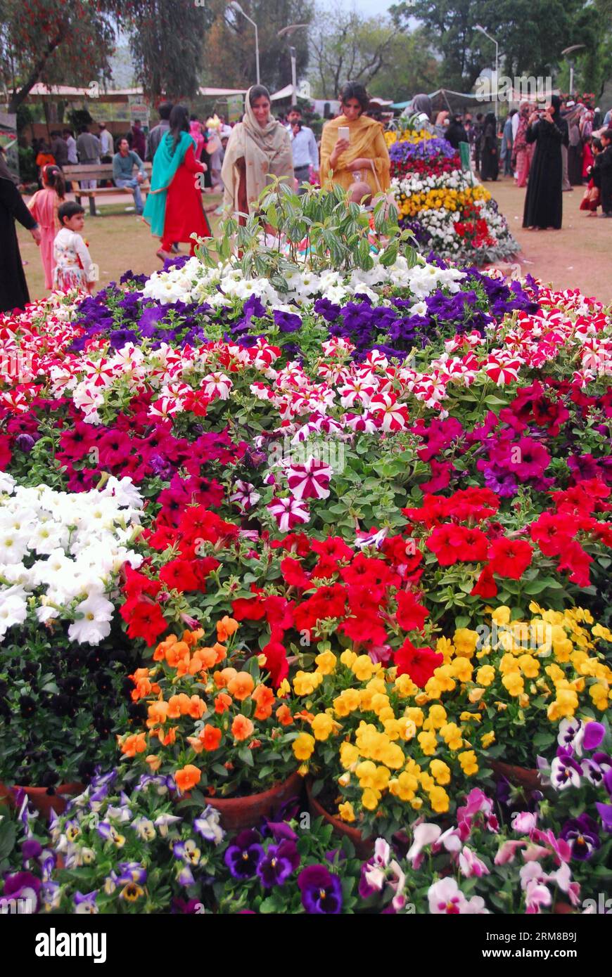 Eherpakistan islamabad flowers hi-res stock photography and images - Alamy