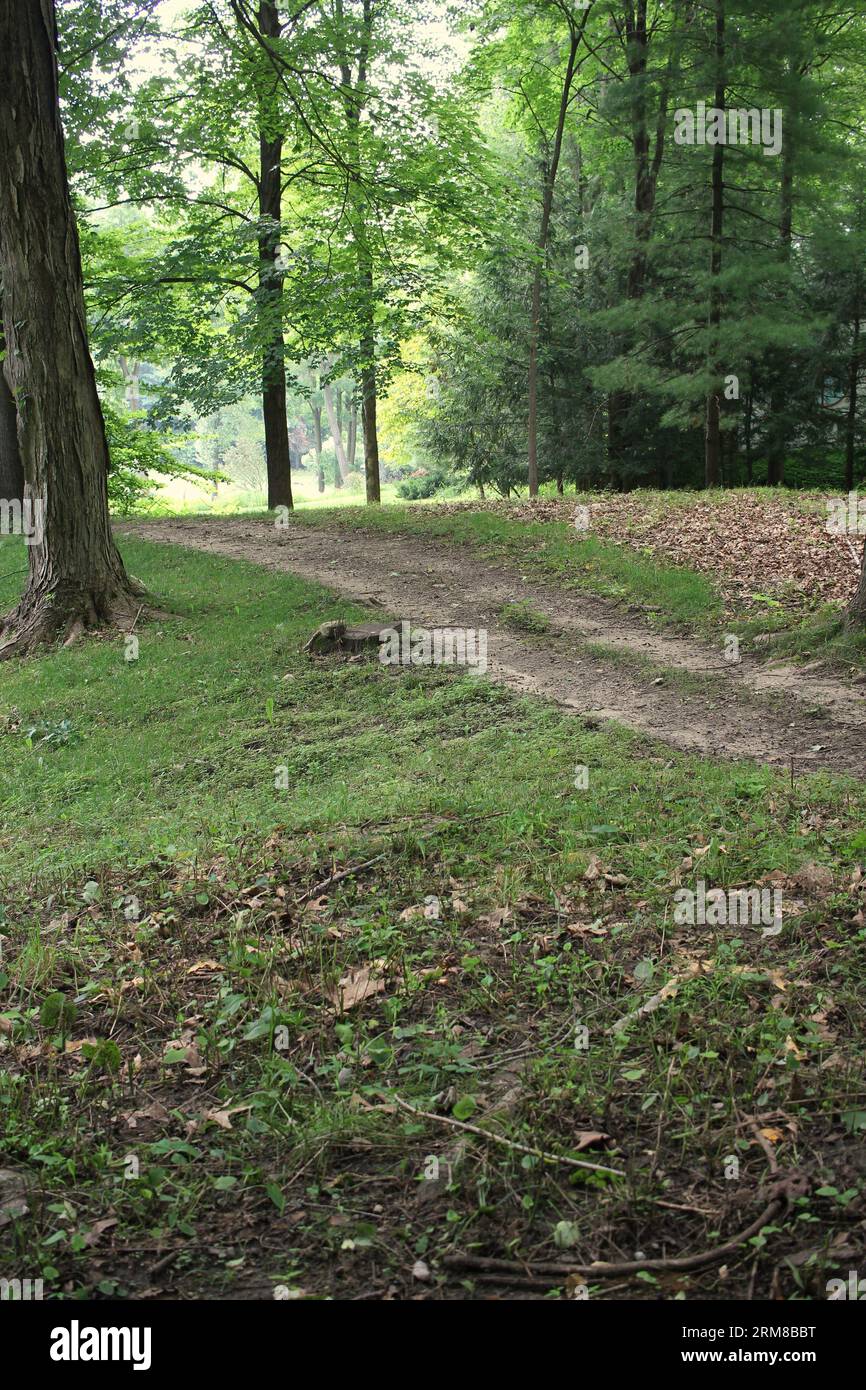 A typical worn country road winding up over a hill Stock Photo - Alamy